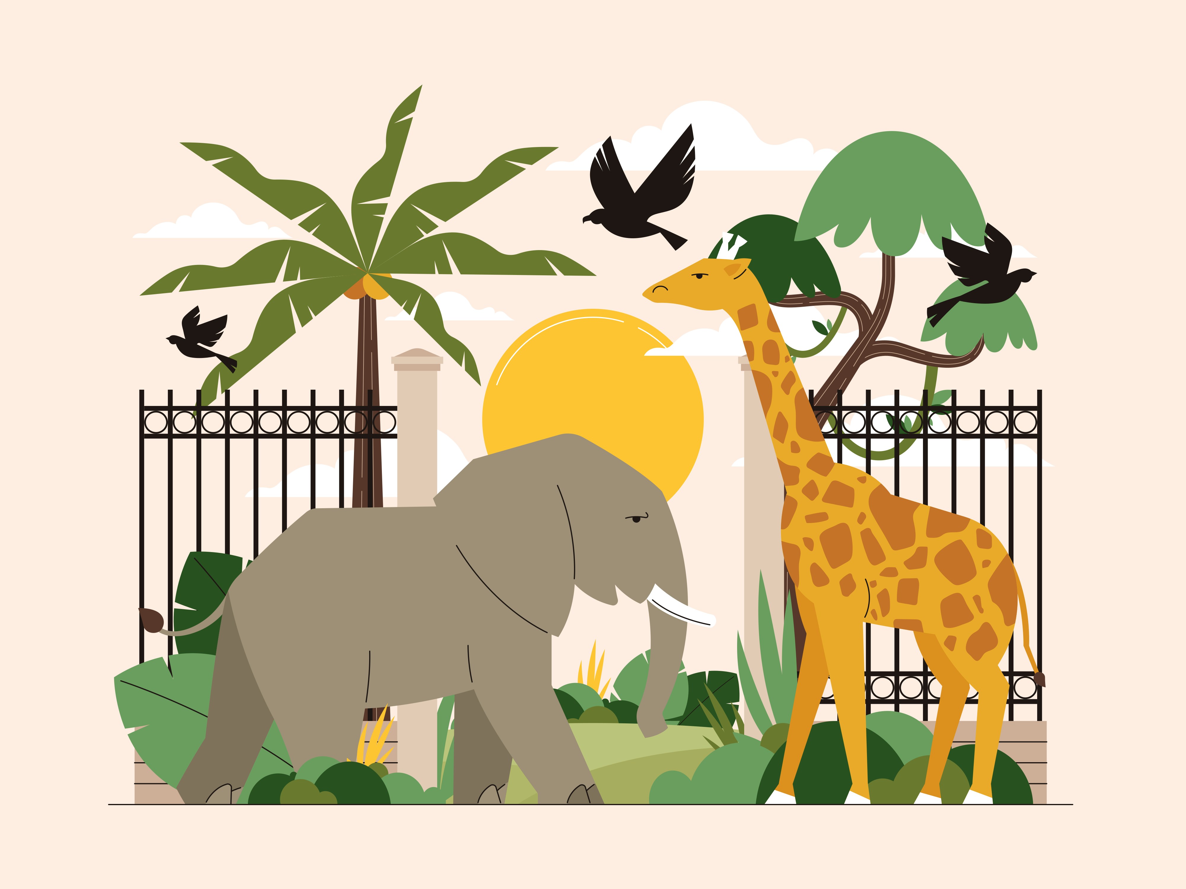 Zoo Telegram Game Review and Airdrop Guide | NFTandGameFi